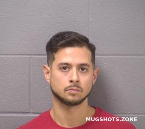 VILLASENOR VICTOR 10/24/2022 - Will County Mugshots Zone