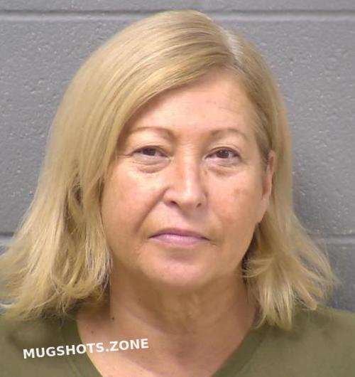 BREWER JULIA 11/01/2022 - Will County Mugshots Zone