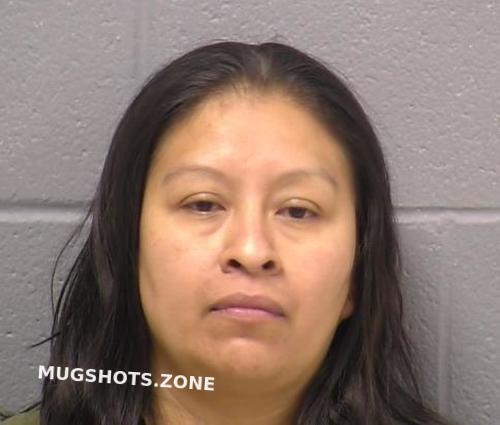 RAMIREZ-HERNANDEZ ARACELI 11/05/2022 - Will County Mugshots Zone
