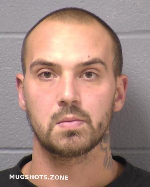 GUERRERO TYLER M 11/18/2022 - Will County Mugshots Zone