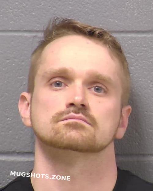 Nelson Austin 12 14 2022 Will County Mugshots Zone