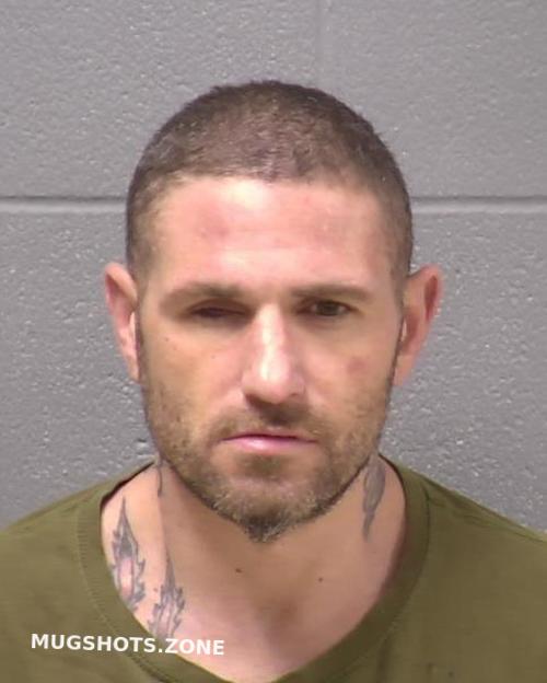 BRYAN DONALD L 12/17/2022 - Will County Mugshots Zone