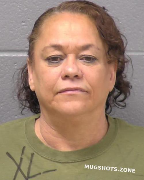 ROMAN JOY L 02/16/2023 - Will County Mugshots Zone