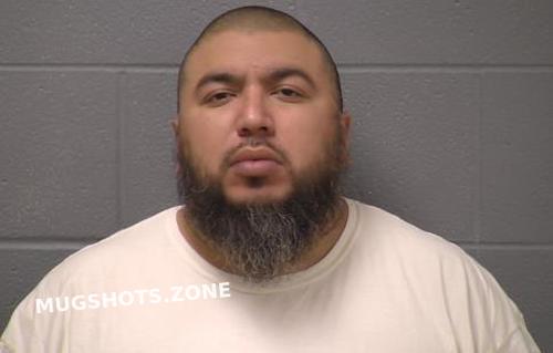 CASTILLO DANIEL THIRD 02/19/2023 - Will County Mugshots Zone