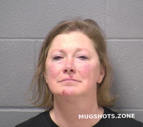 WESTERGAARD MARY L 02/25/2023 - Will County Mugshots Zone