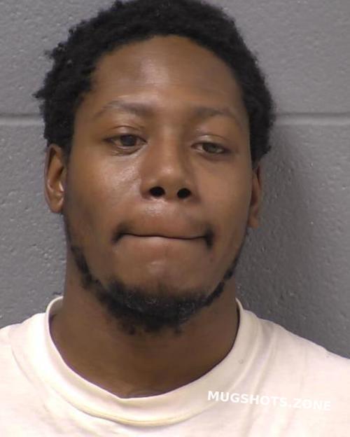 WILEY JANSEN XAVIER 02/27/2023 - Will County Mugshots Zone