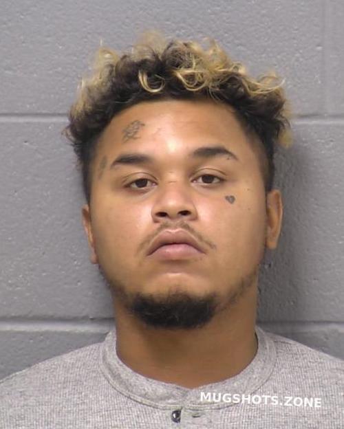SIMPSON DAVON T 03/06/2023 - Will County Mugshots Zone