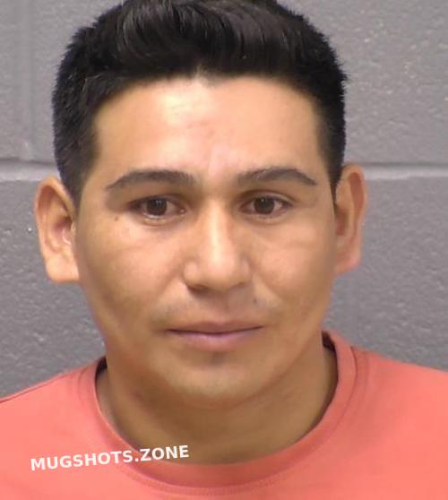 POLANCO-SOLORZANO ELVIN R 03/16/2023 - Will County Mugshots Zone