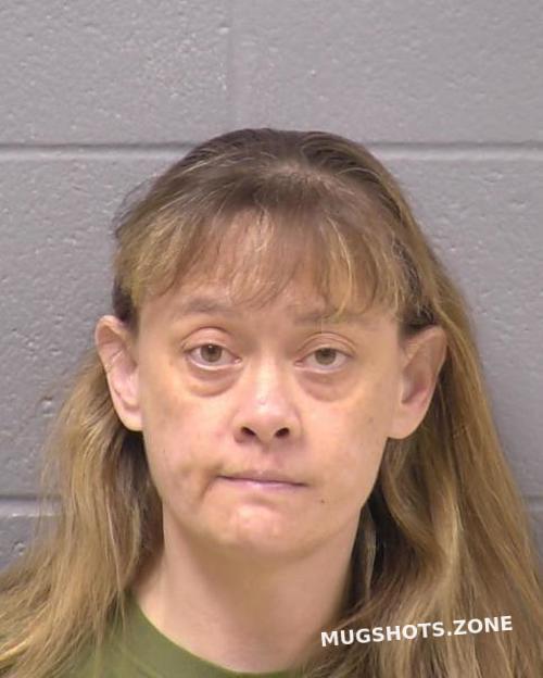 FLORES DEBRA M 04/06/2023 - Will County Mugshots Zone