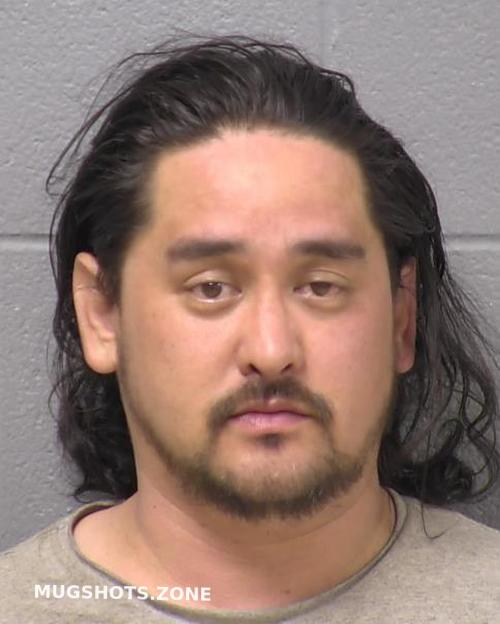 CASTILLO ANDREW D 04/10/2023 - Will County Mugshots Zone