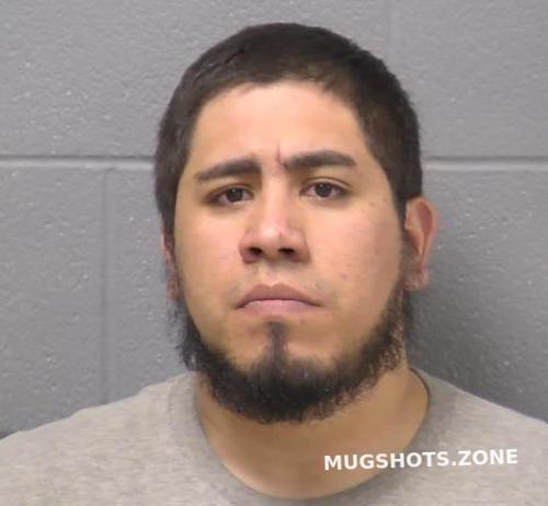 REYNOSO CAMBEROS BRYAN DE JESUS 04/17/2023 - Will County Mugshots Zone