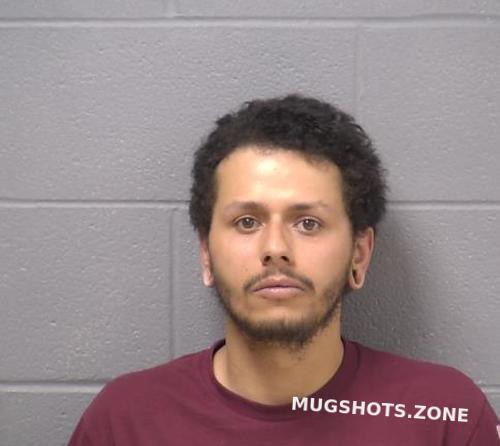 EL ELI R 04/18/2023 - Will County Mugshots Zone