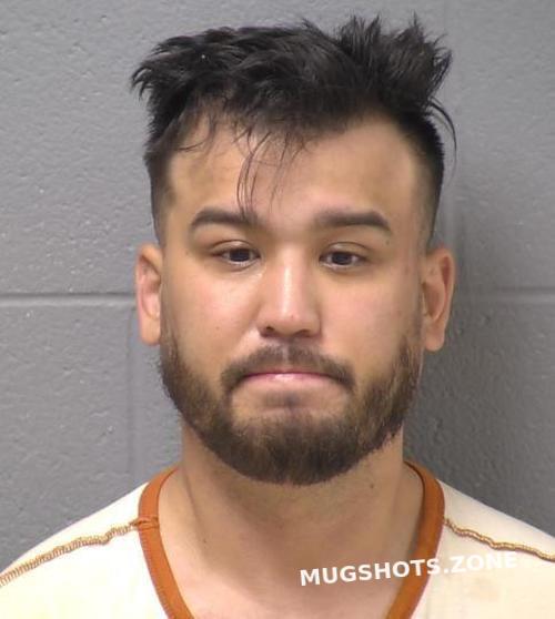 DOMICO ANTHONY JOHN SECOND 06/12/2023 - Will County Mugshots Zone