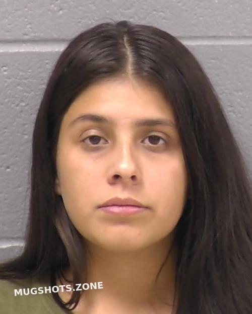 MCCOY JULYSSA NICOLE 07/10/2023 - Will County Mugshots Zone