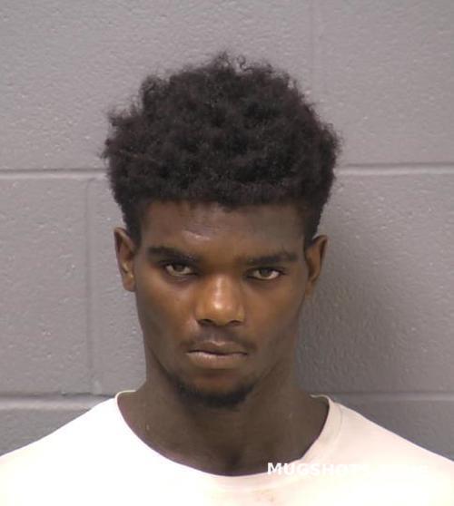 BROWN LANDEN T 07/18/2023 - Will County Mugshots Zone