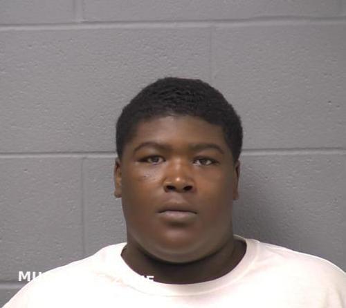 LUCAS JAMAIN E JUNIOR 08/11/2023 - Will County Mugshots Zone