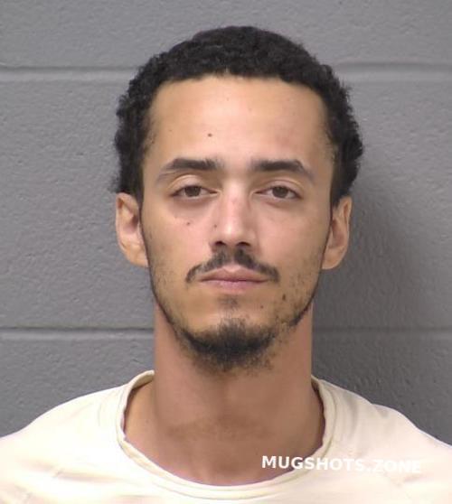 WHITE BRIAN E 08/30/2023 - Will County Mugshots Zone