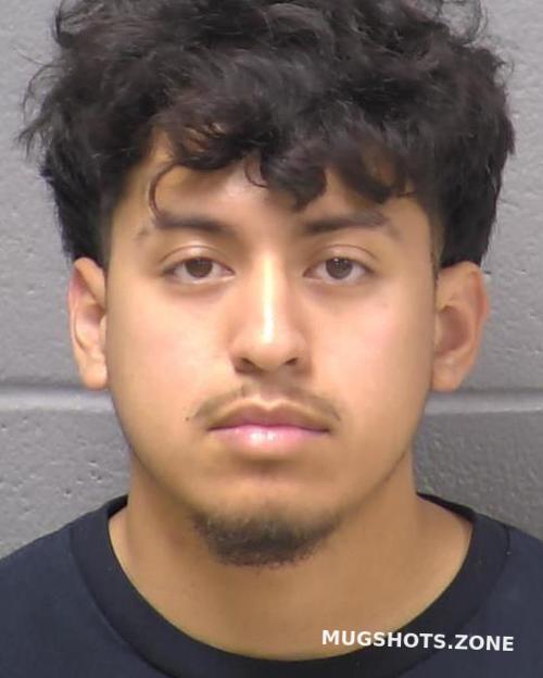 BELTRAN BRANDON 09/24/2023 - Will County Mugshots Zone