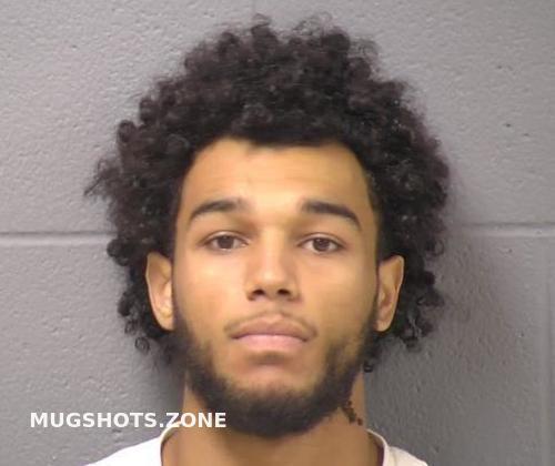 ELLIS ANTHONY S JUNIOR 10/24/2023 - Will County Mugshots Zone