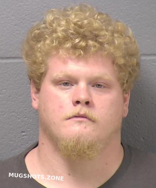 HOMAN TRAVIS L 11/08/2023 - Will County Mugshots Zone