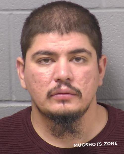 EVANS CHRISTOPHER ALLEN 11/11/2023 - Will County Mugshots Zone