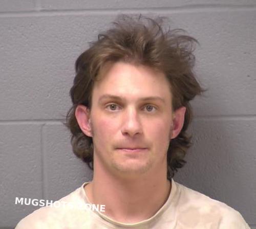 WILHELMI ALEX S 11/14/2023 - Will County Mugshots Zone