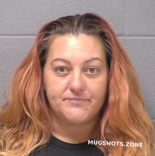 WARREN LESLEY A 11/20/2023 - Will County Mugshots Zone