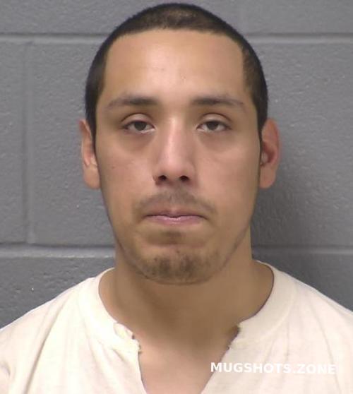 LEON ALEX 01/02/2024 - Will County Mugshots Zone