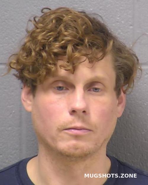 WELLMAN ARTHUR R 01/17/2024 - Will County Mugshots Zone