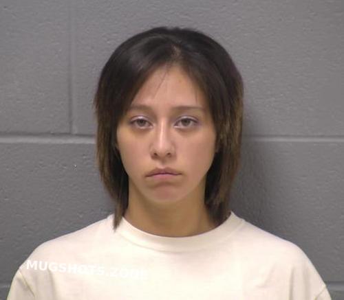 OLSON SASHA C 02/02/2024 - Will County Mugshots Zone