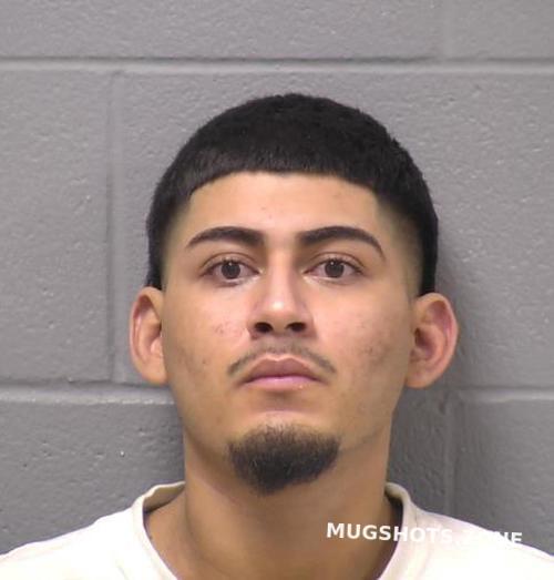 RODRIGUEZ ANGEL 02/11/2024 - Will County Mugshots Zone