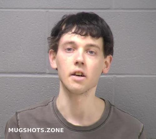 REED BRANDON R 02/28/2024 - Will County Mugshots Zone