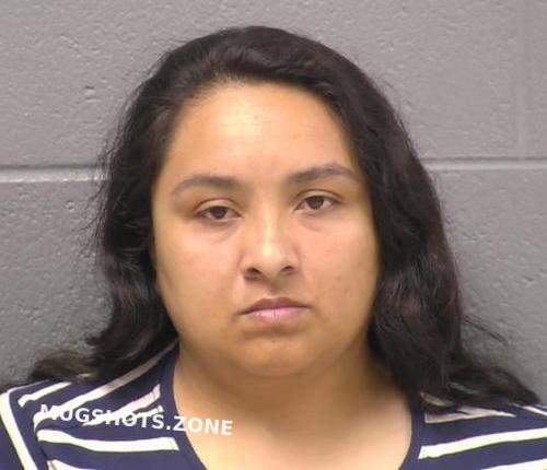 YARA SOTELO MARIA ALEJANDRA 04/11/2024 - Will County Mugshots Zone