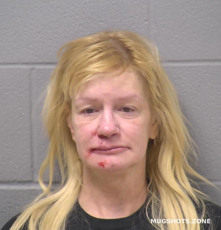 ALFINI RENEE J 04/17/2024 - Will County Mugshots Zone