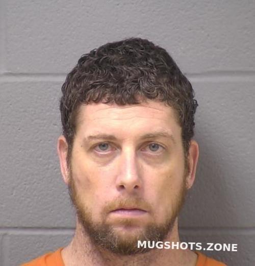 WEBSTER JORDAN L 05/16/2024 - Will County Mugshots Zone