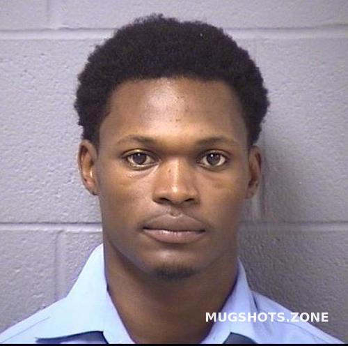 BIBBS KEITH L 06/04/2024 - Will County Mugshots Zone