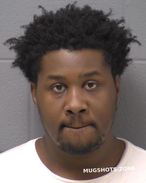 ALEXANDER DILAN M 06/10/2024 - Will County Mugshots Zone