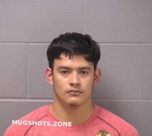 RAYO TORREZ DEYVIN ELIEZER 07/06/2024 - Will County Mugshots Zone