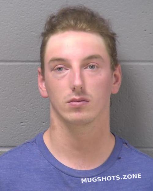 BURZA TYLER E 07/18/2024 - Will County Mugshots Zone