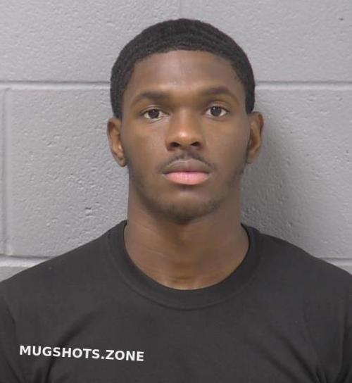 JOHNSON JAVONTA T 07/24/2024 - Will County Mugshots Zone