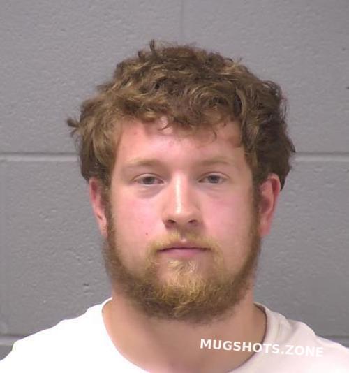 CASAS KAMERIN G 07/27/2024 - Will County Mugshots Zone