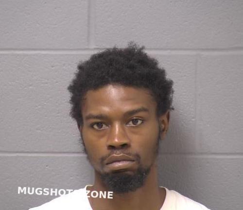 LASHLEY BRANDON R 07/28/2024 - Will County Mugshots Zone