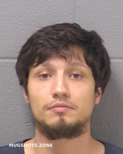 THACKER DYLAN RAY 08/02/2024 - Will County Mugshots Zone