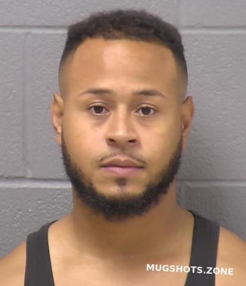 BERRIAN ELIJAH B 08/02/2024 - Will County Mugshots Zone