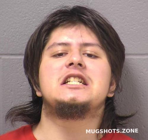 GONZALEZ-RUIZ ALEXANDER 08/20/2024 - Will County Mugshots Zone