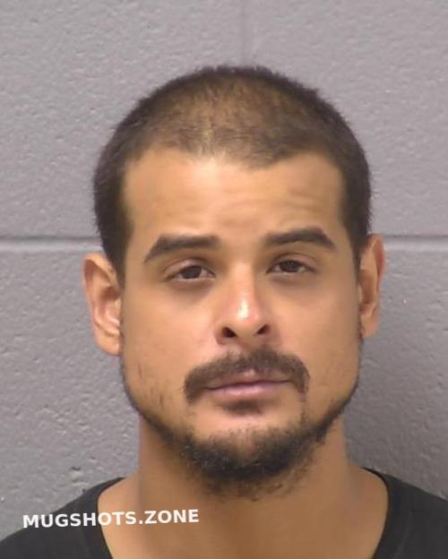 BURGOS JEREMY 08/21/2024 - Will County Mugshots Zone