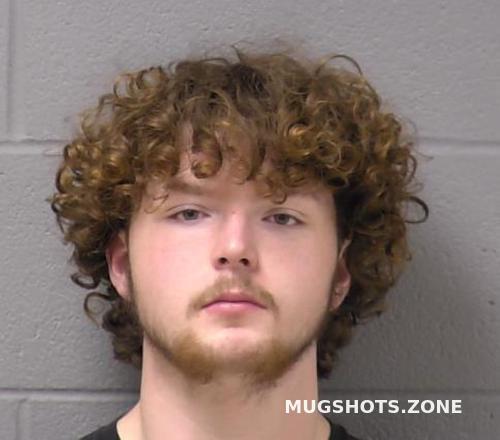 HOCKINGS BRANIGAN DYLAN M 10/19/2024 - Will County Mugshots Zone