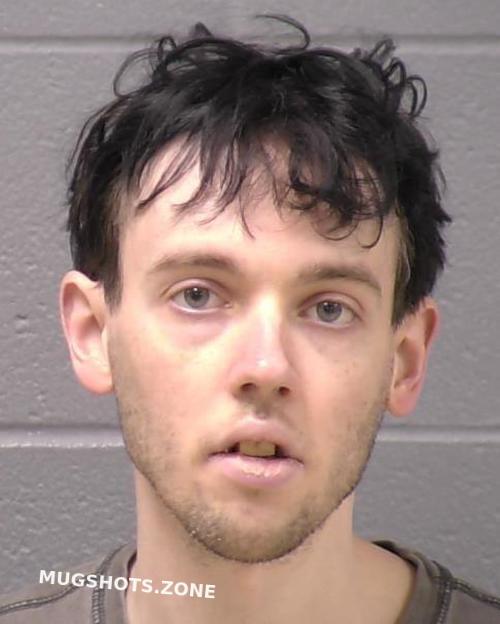 REED BRANDON R 10/21/2024 - Will County Mugshots Zone