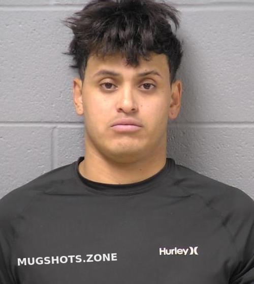 LARA-MONTEVIDEO ANGEL D 10/26/2024 - Will County Mugshots Zone