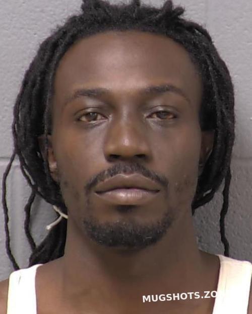 JAMES LIONEL D JUNIOR 10/29/2024 - Will County Mugshots Zone